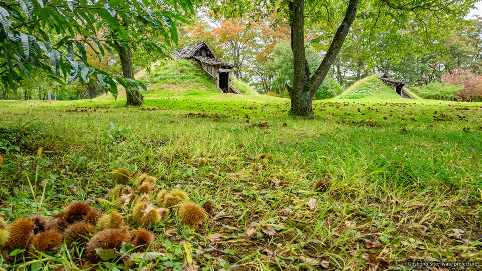 【official website】World Heritage Jomon Prehistoric Sites in Northern Japan